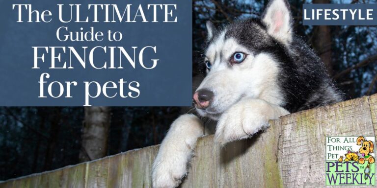 The Ultimate Guide to Keeping Dogs Contained in Your Yard - PetsWeekly.com